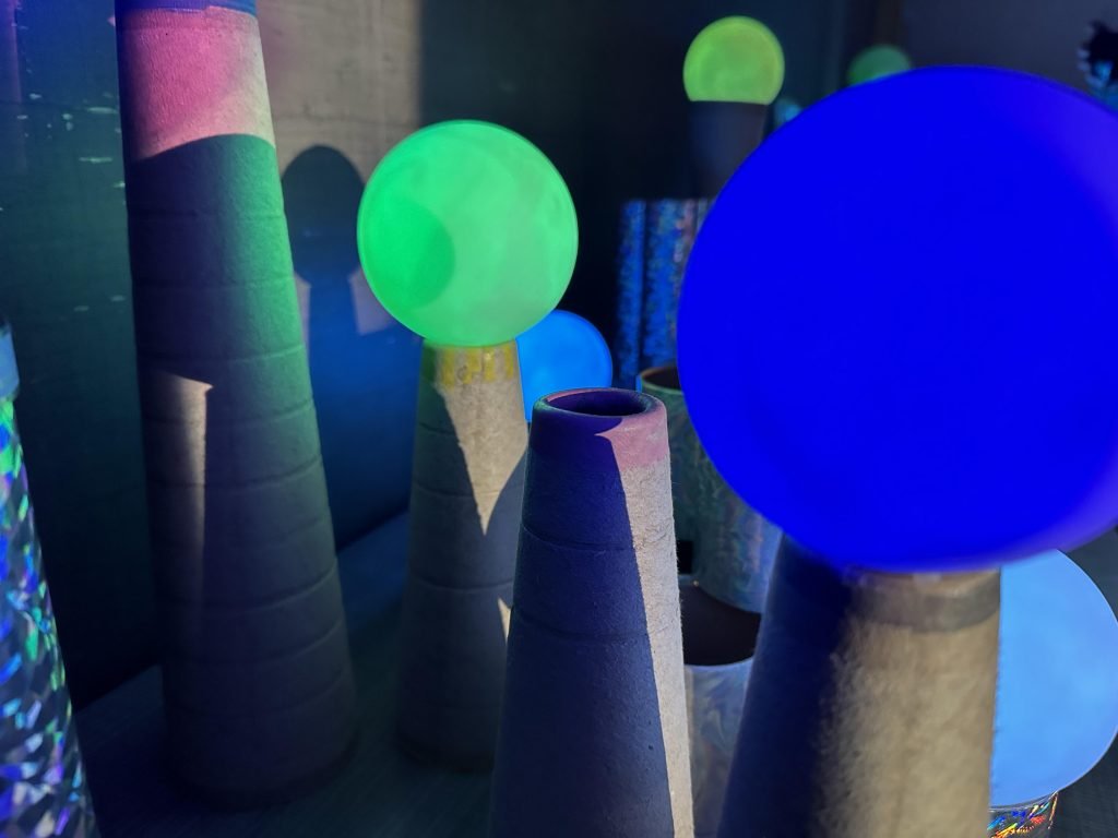 A CELEBRATION OF LIGHT - Miriam Beloglovsky